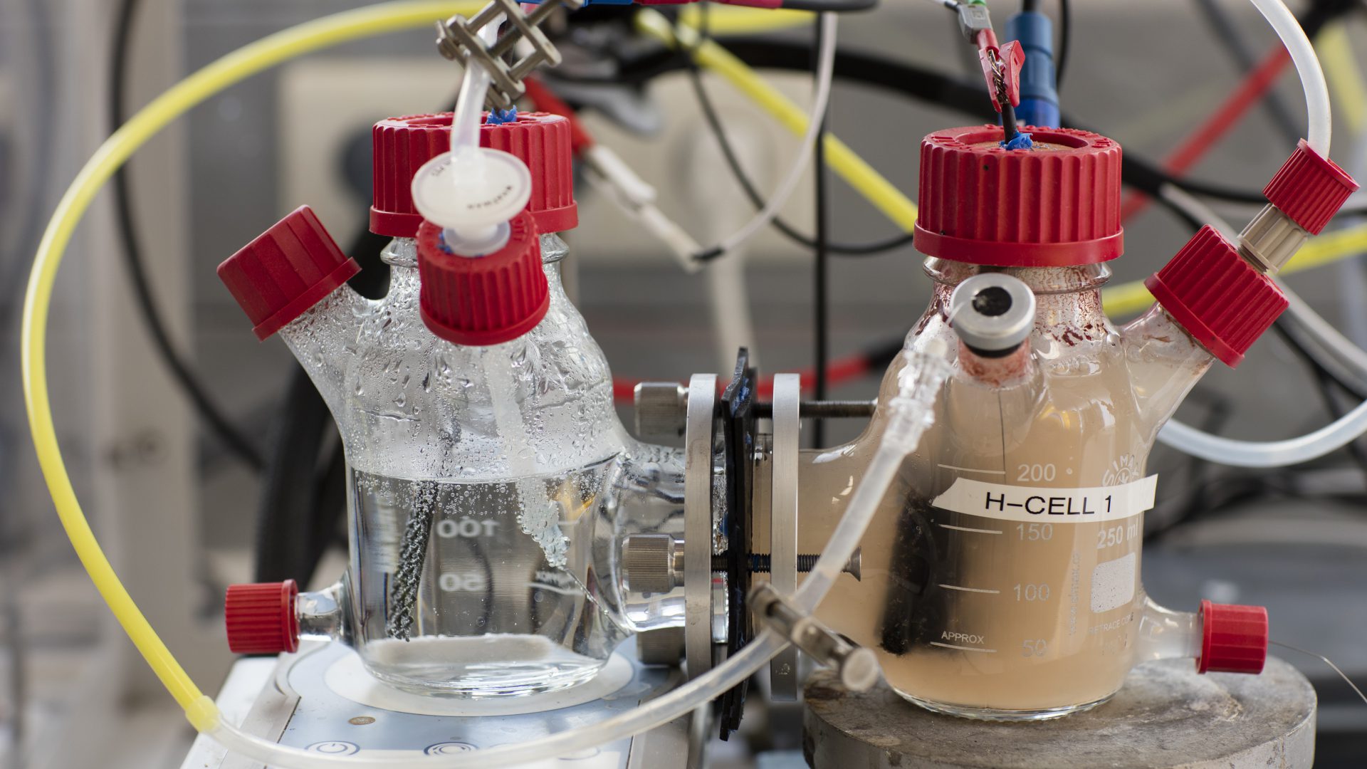 The Project BioRECO2VER